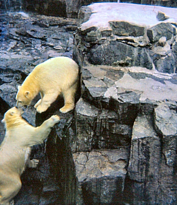 Edinburgh Zoo